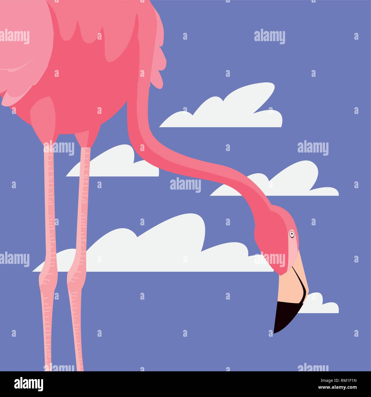 cute flamingo sky clouds background vector illustration Stock Vector ...