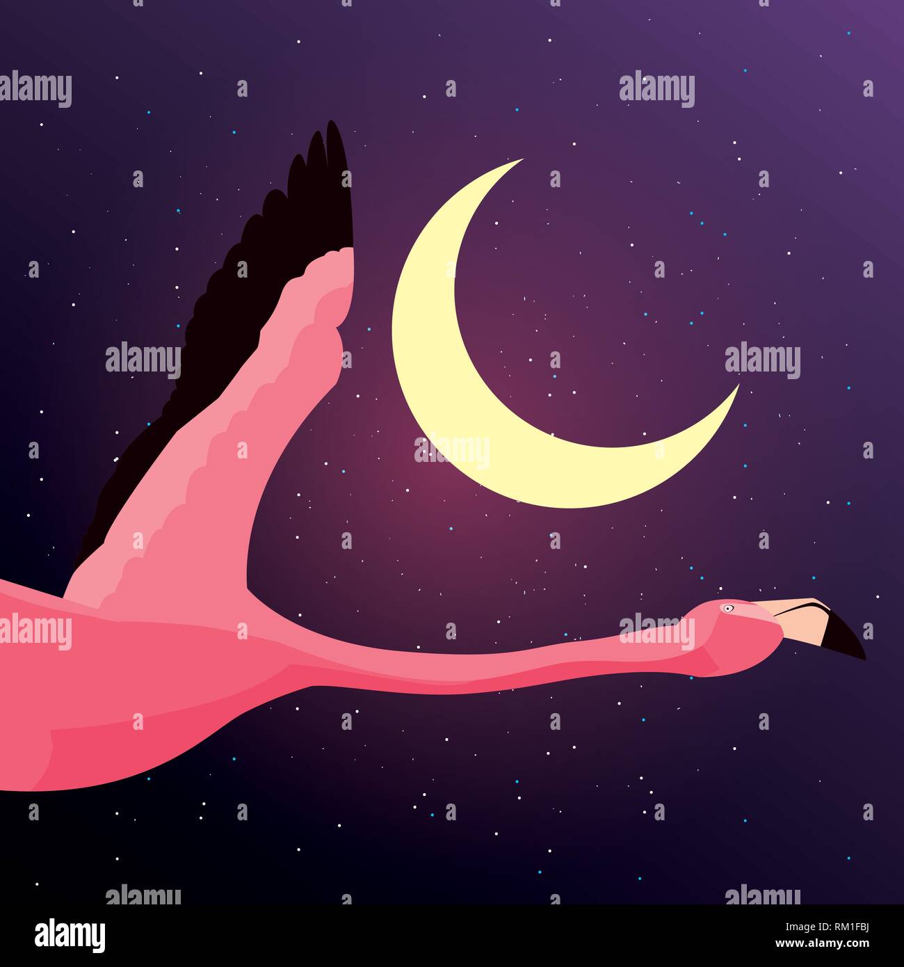 cute flamingo flying in the sky vector illustration Stock Vector Image ...