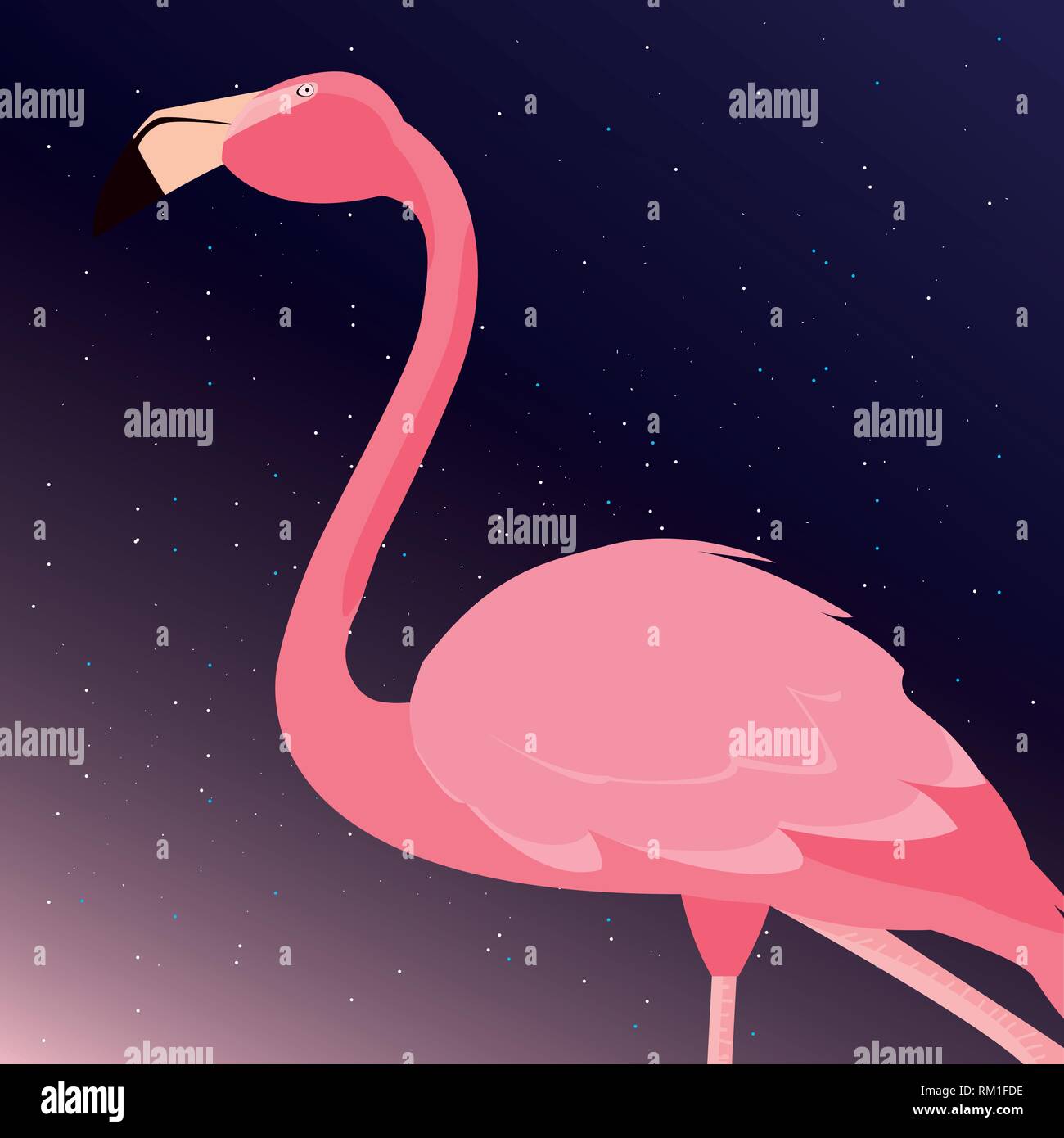flamingo bird starry night background vector illustration Stock Vector ...