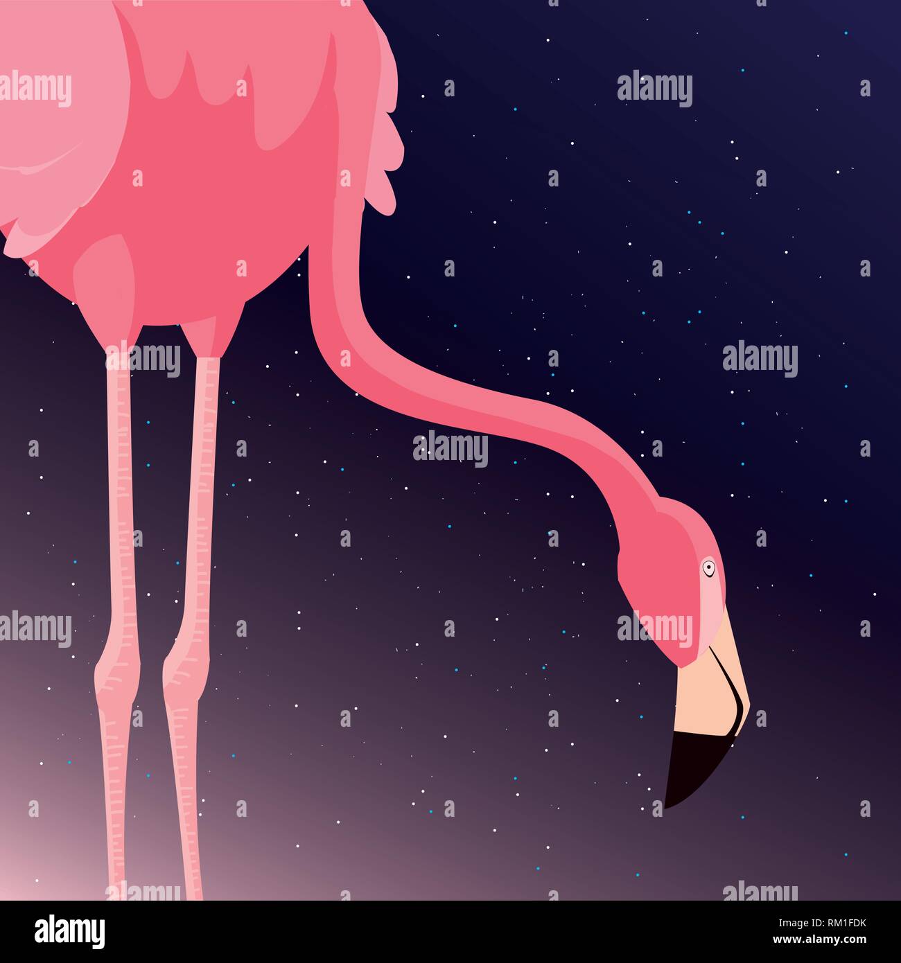 flamingo bird starry night background vector illustration Stock Vector ...