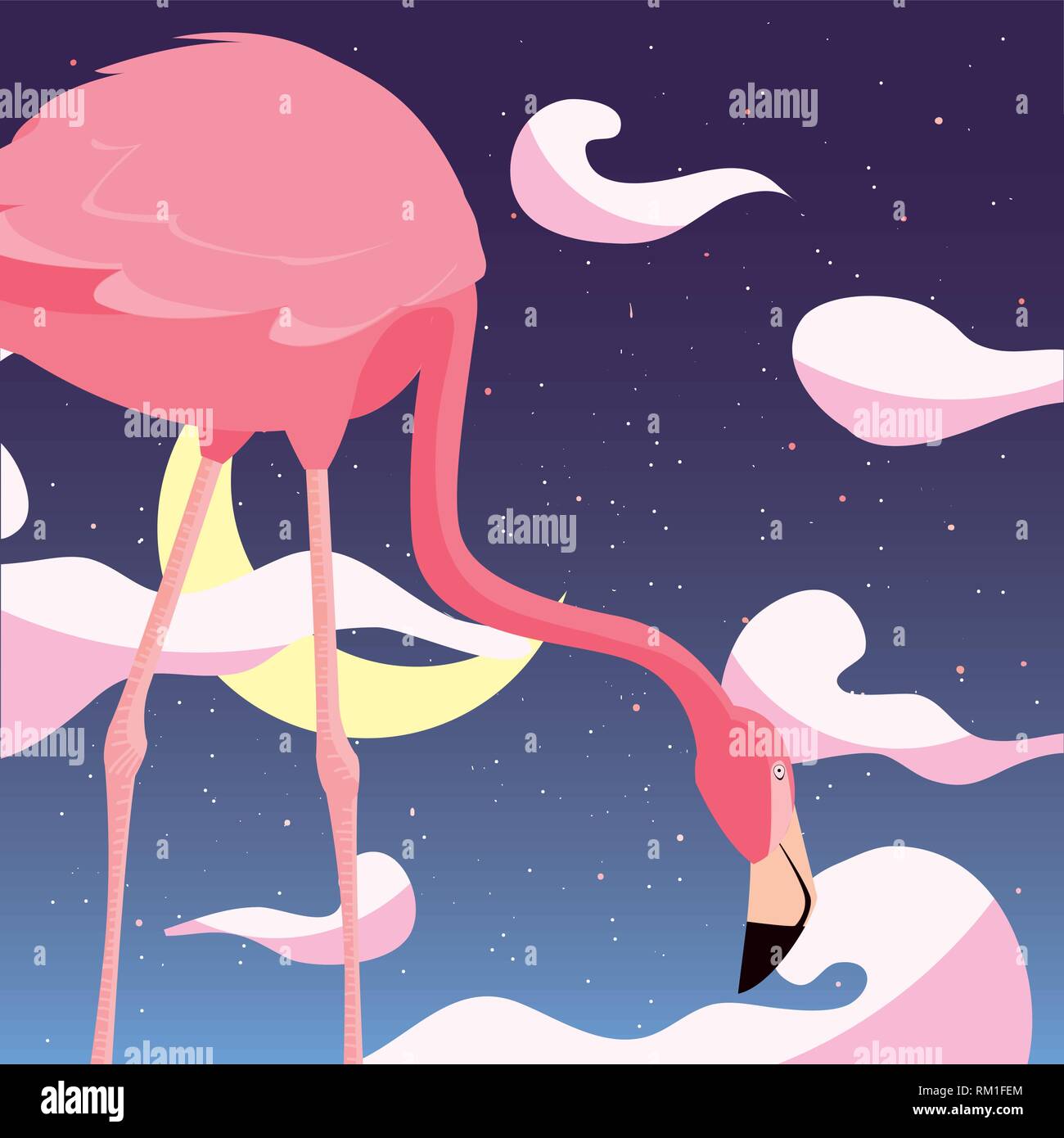 flamingo bird in the night vector illustration Stock Vector Image & Art ...