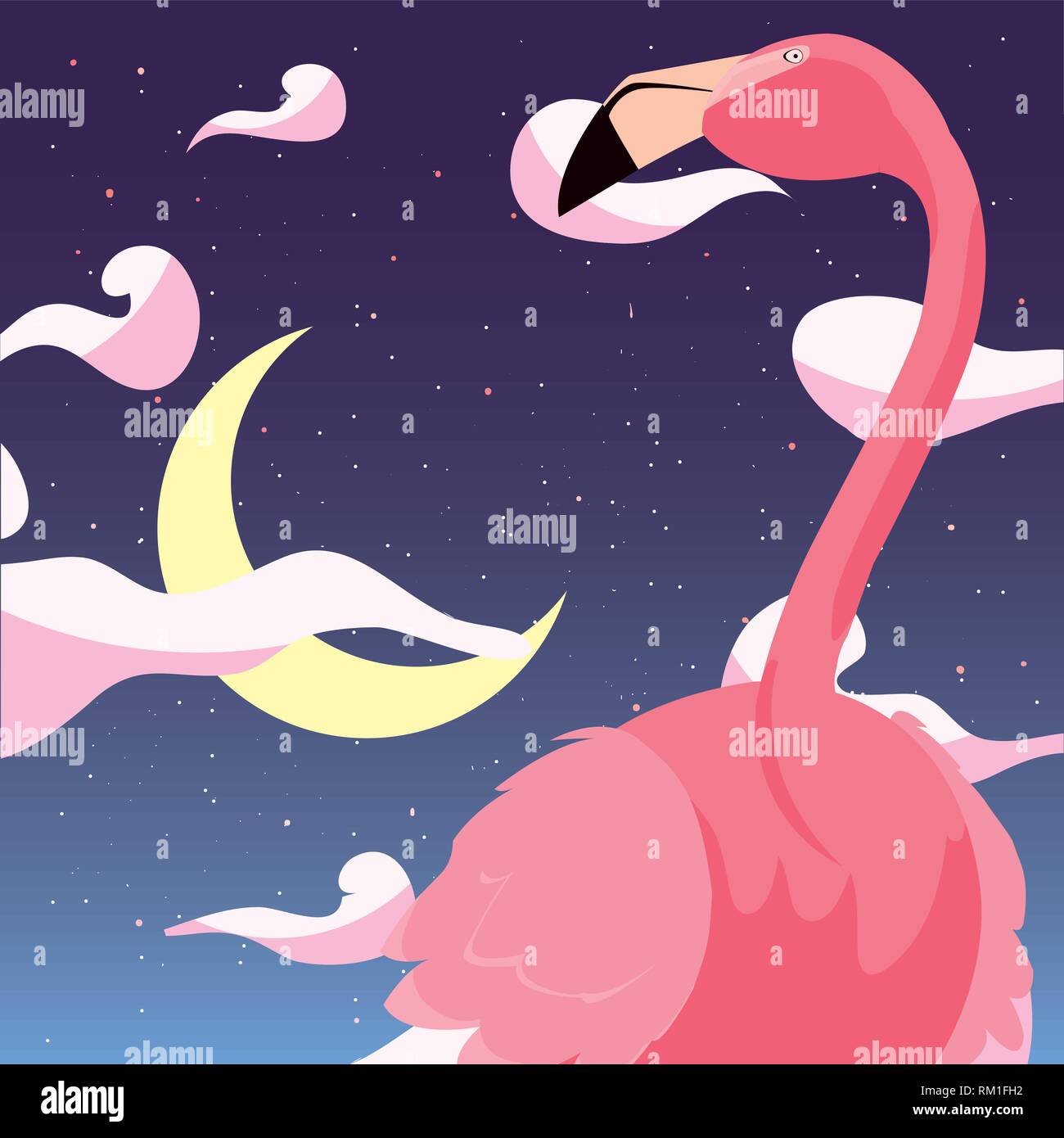 flamingo bird in the night vector illustration Stock Vector Image & Art ...