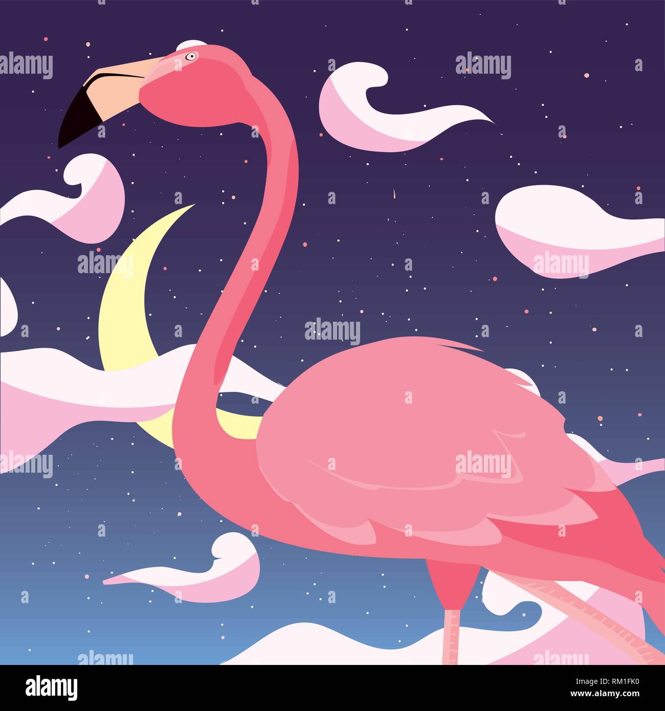 flamingo bird in the night vector illustration Stock Vector Image & Art ...