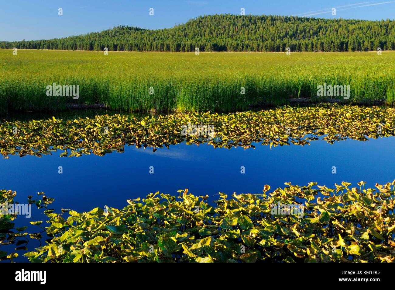 Klamath marsh hi-res stock photography and images - Alamy