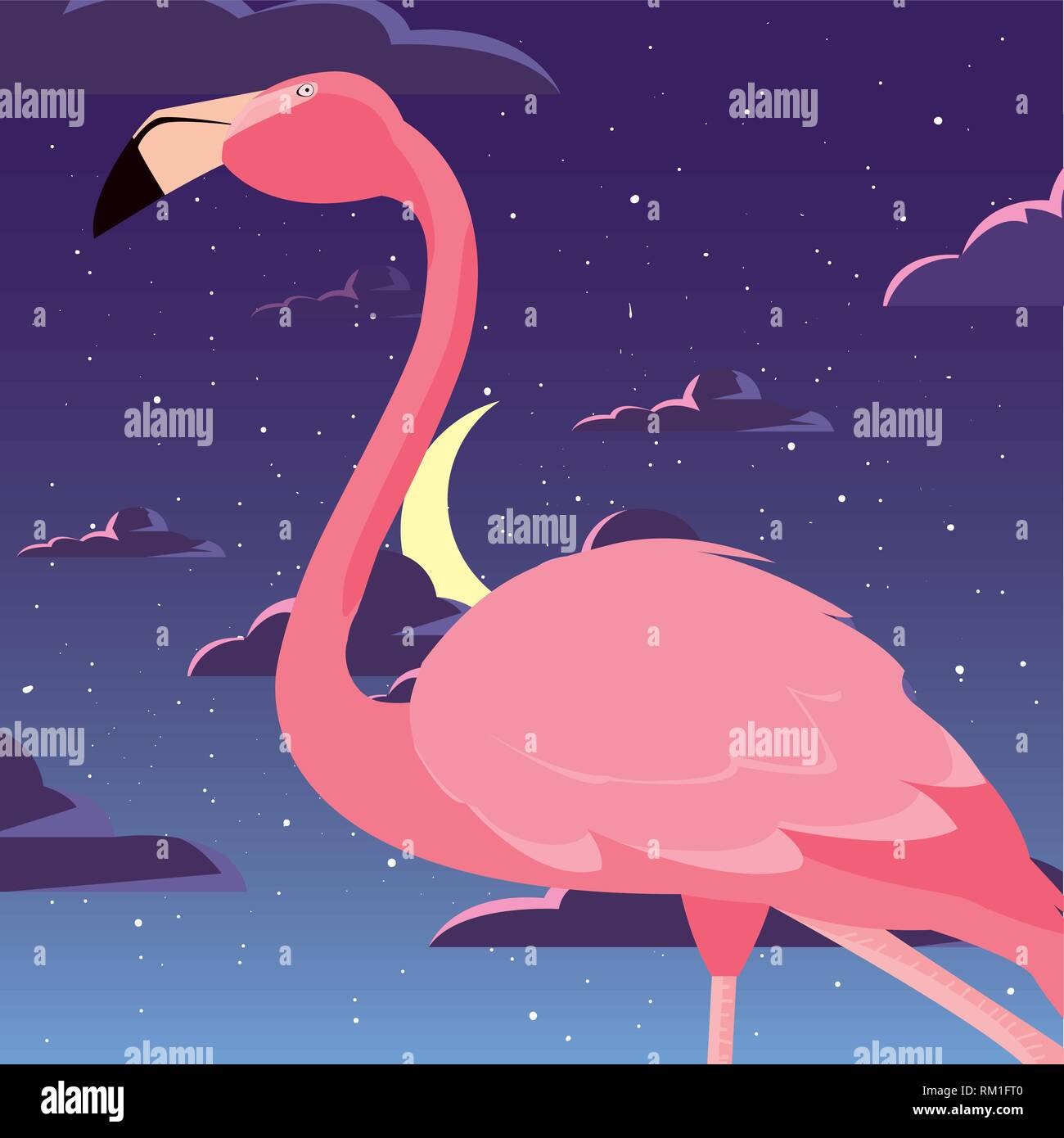 flamingo bird in the night vector illustration Stock Vector Image & Art ...