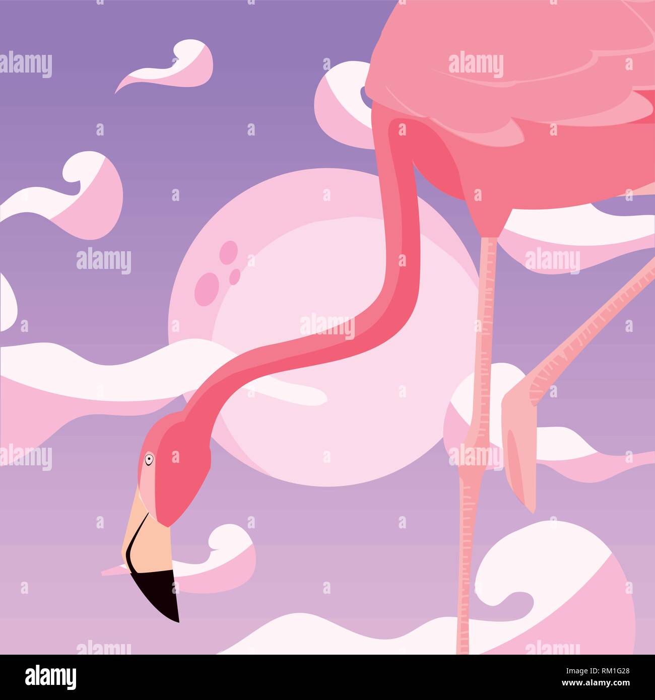 flamingo bird moon clouds background vector illustration Stock Vector ...
