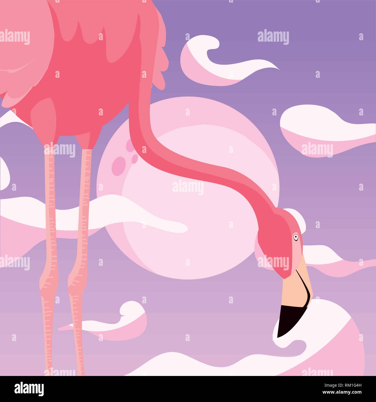 flamingo bird moon clouds background vector illustration Stock Vector ...