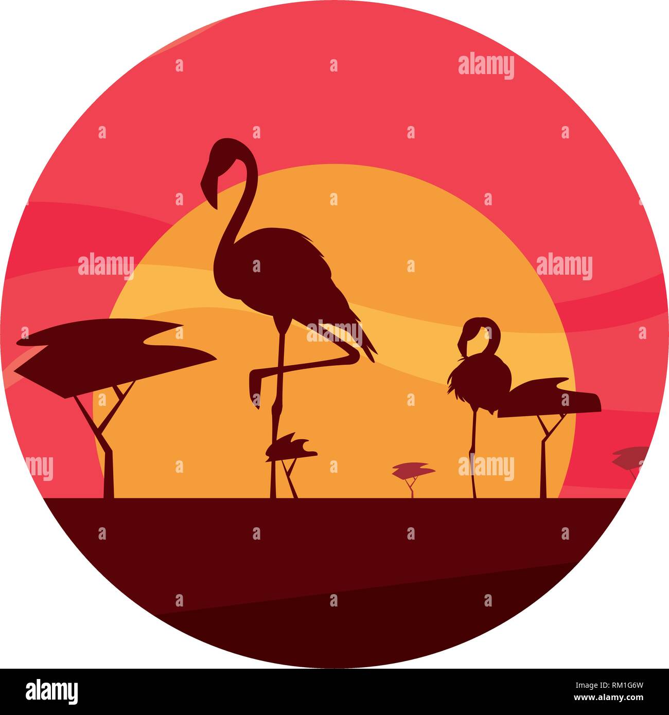 flamingos birds in the sunset landscape vector illustration Stock ...