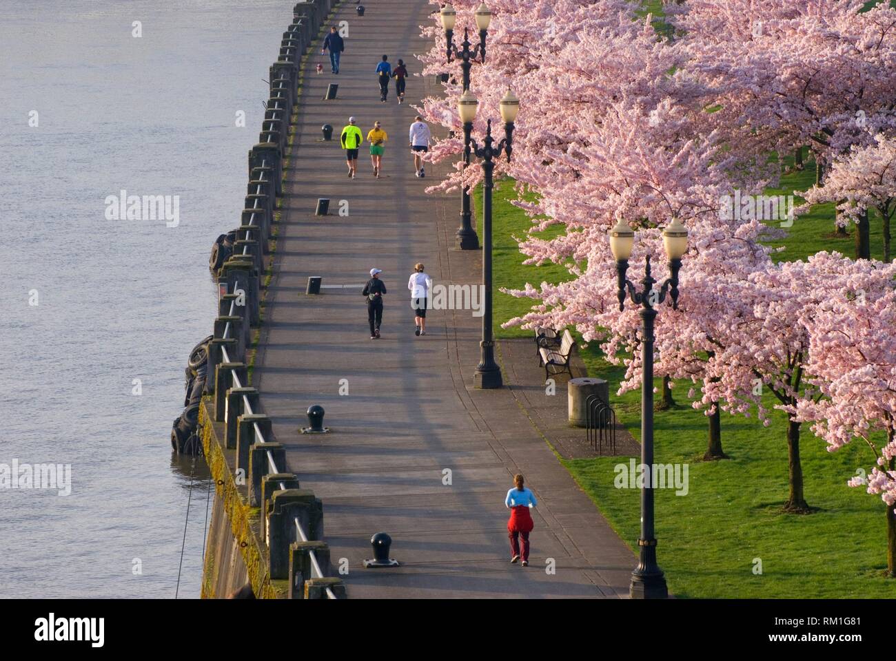Portland waterfront park from hi-res stock photography and images - Alamy
