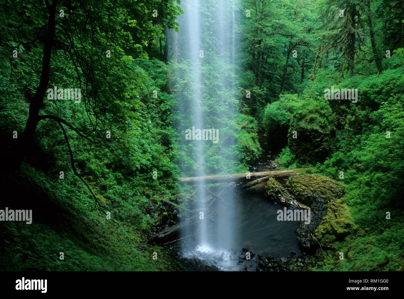 Shellburg falls hi-res stock photography and images - Alamy