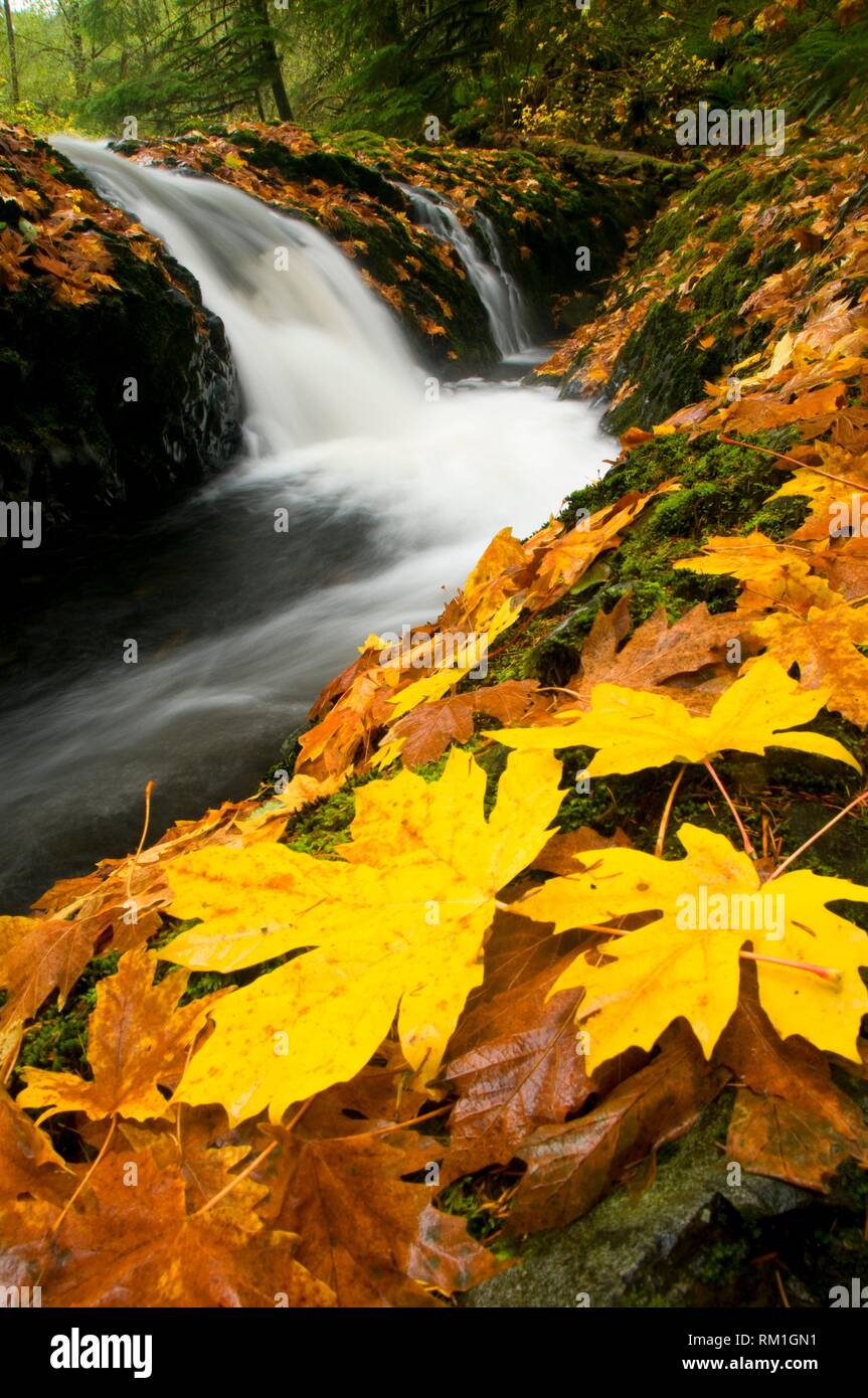 Silver creek park hi-res stock photography and images - Alamy