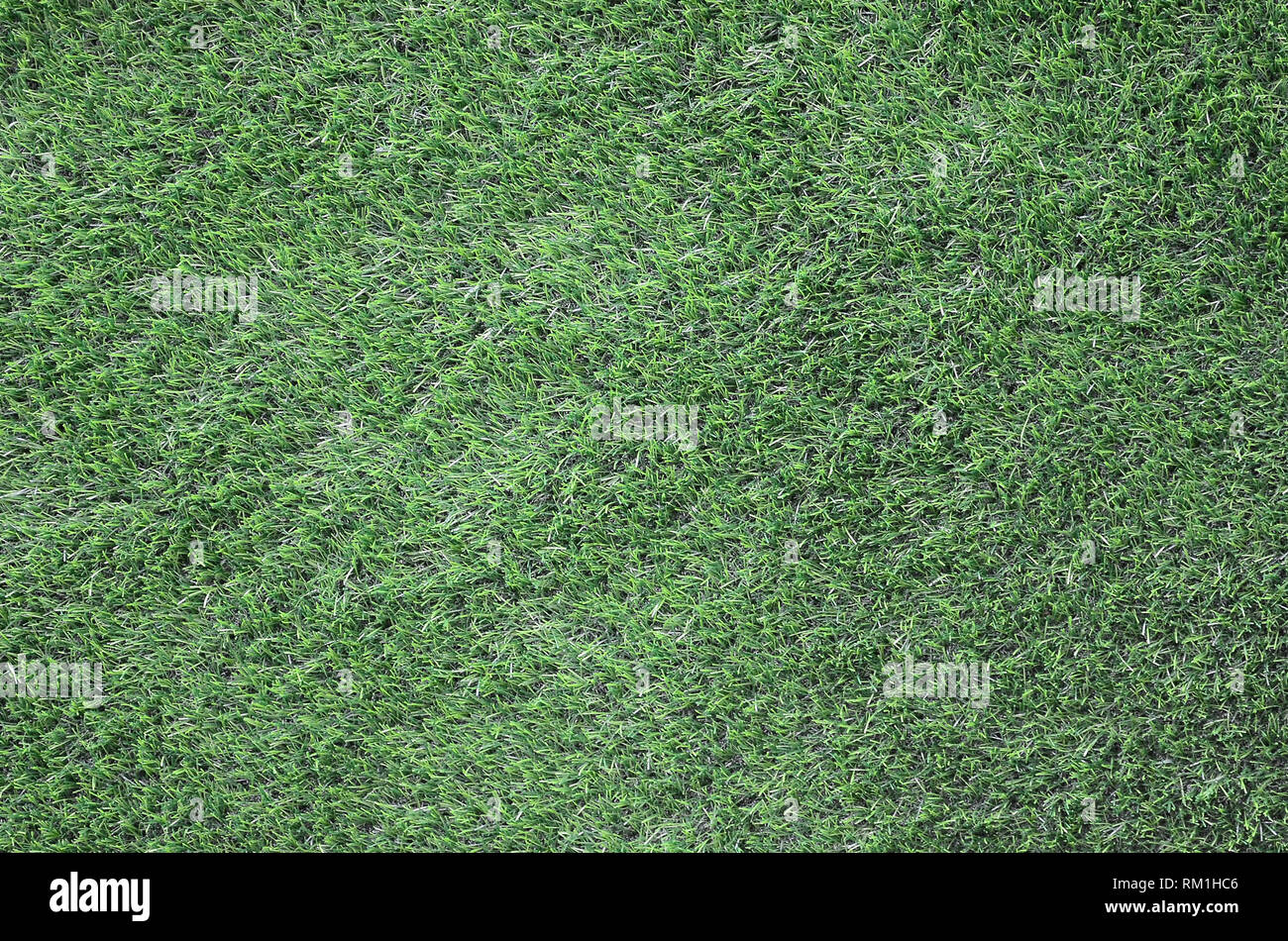 Green grass background, green lawn pattern textured background. Dark ...