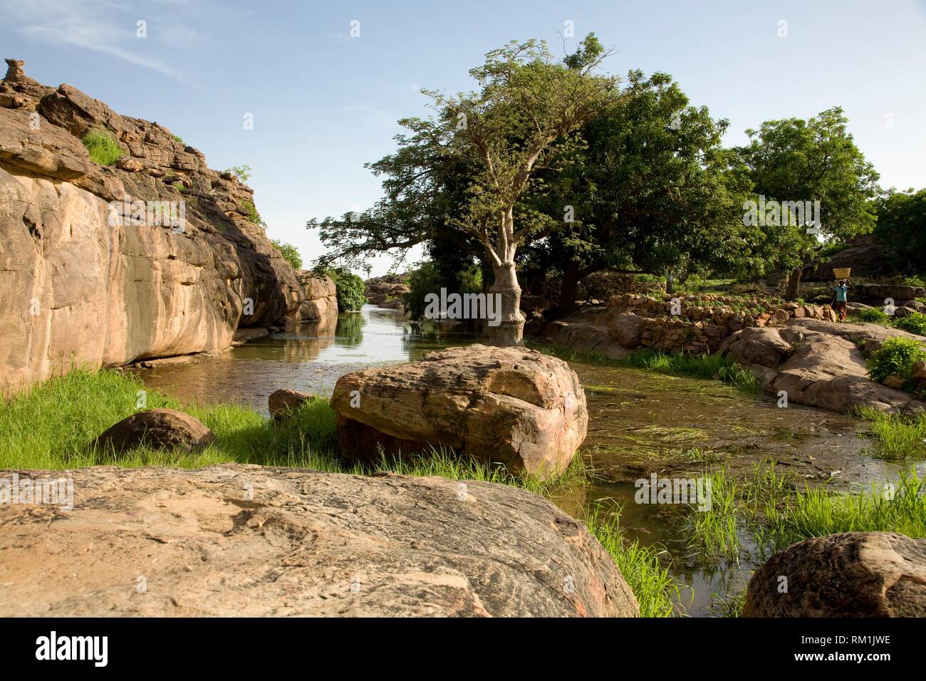 Baobab africa village hi-res stock photography and images - Alamy