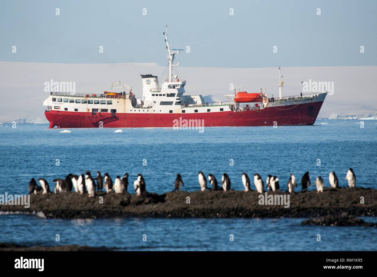 Antarctica penguin ship hi-res stock photography and images - Alamy