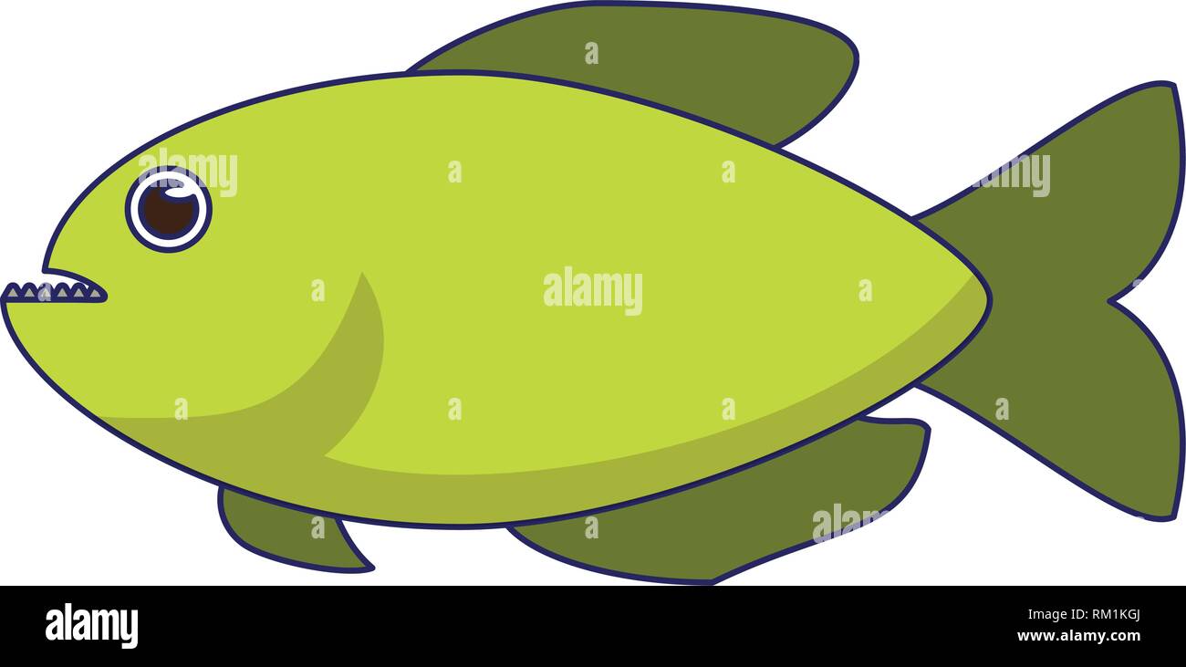Fish sea animal cartoon Stock Vector Image & Art - Alamy