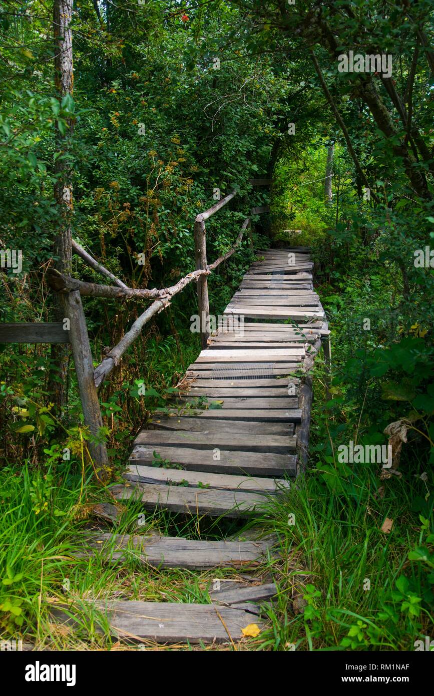 Old Wooden Footbridge High Resolution Stock Photography and Images - Alamy