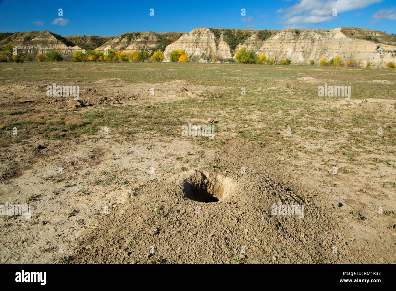 Prairie dog burrow hi-res stock photography and images - Alamy