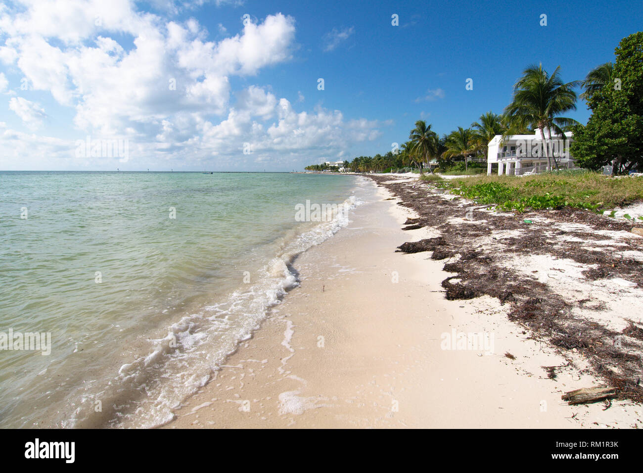 Islamorada beach hi-res stock photography and images - Alamy