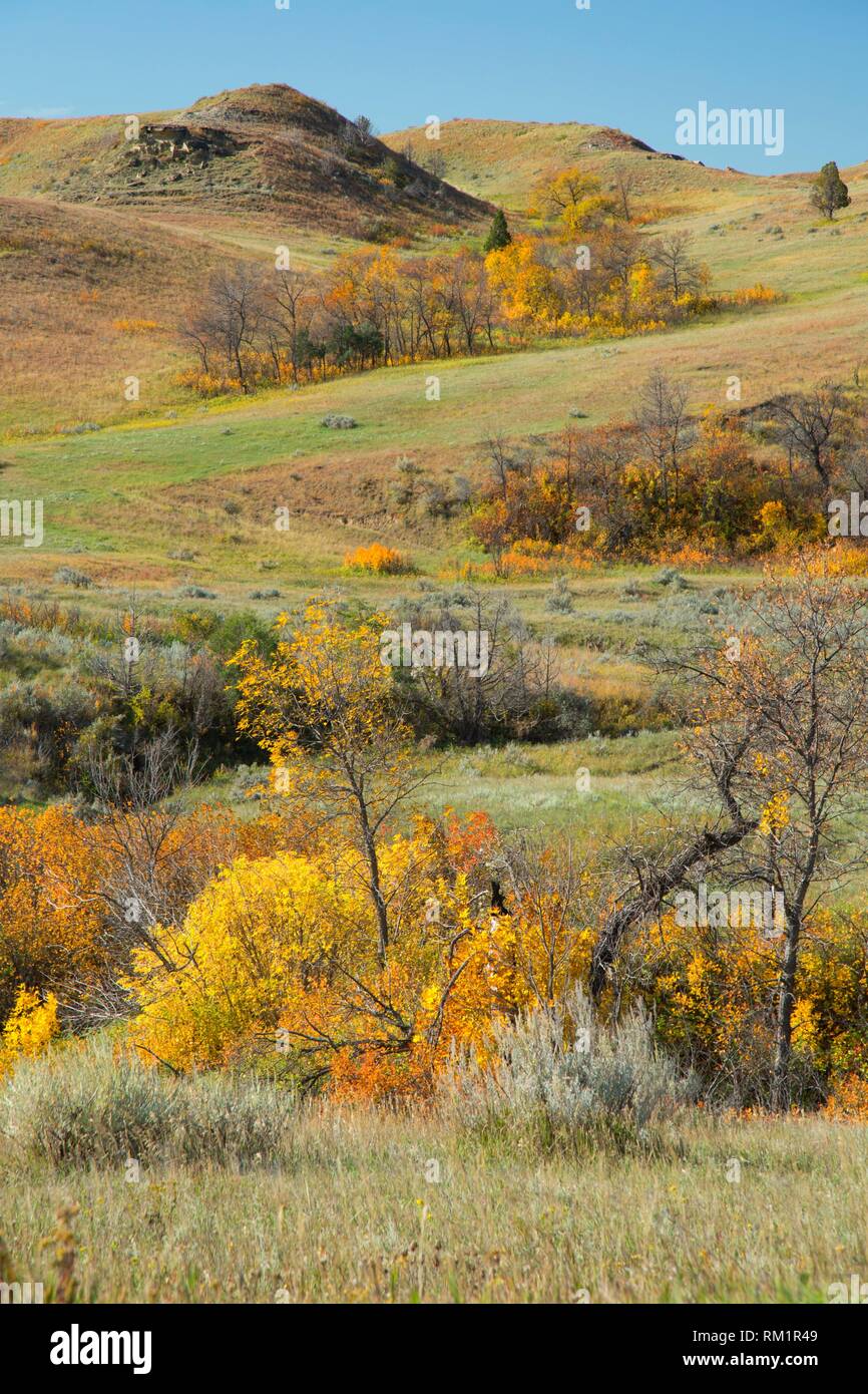 Badlands national park prairie hi-res stock photography and images - Alamy