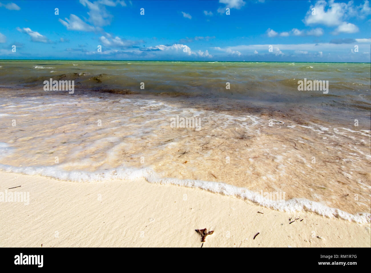 Islamorada beach hi-res stock photography and images - Alamy