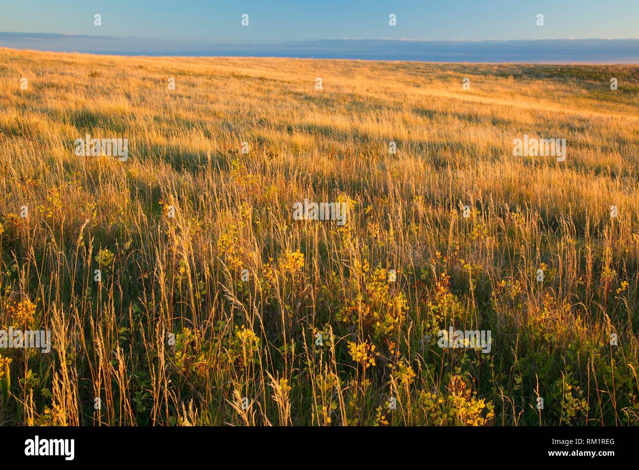 Great plains states prairie hi-res stock photography and images - Alamy