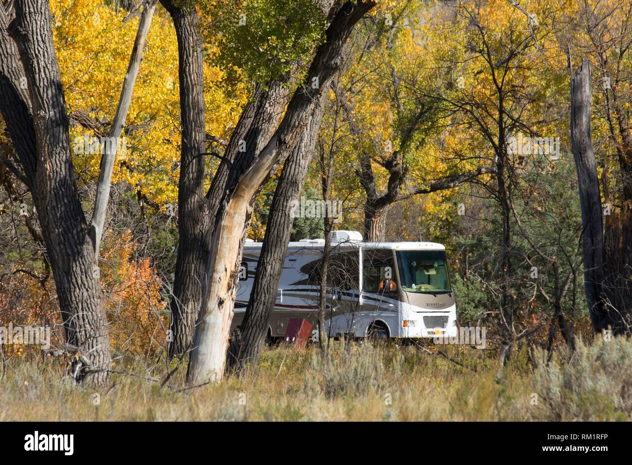 Theodore roosevelt national park camping hi-res stock photography and ...