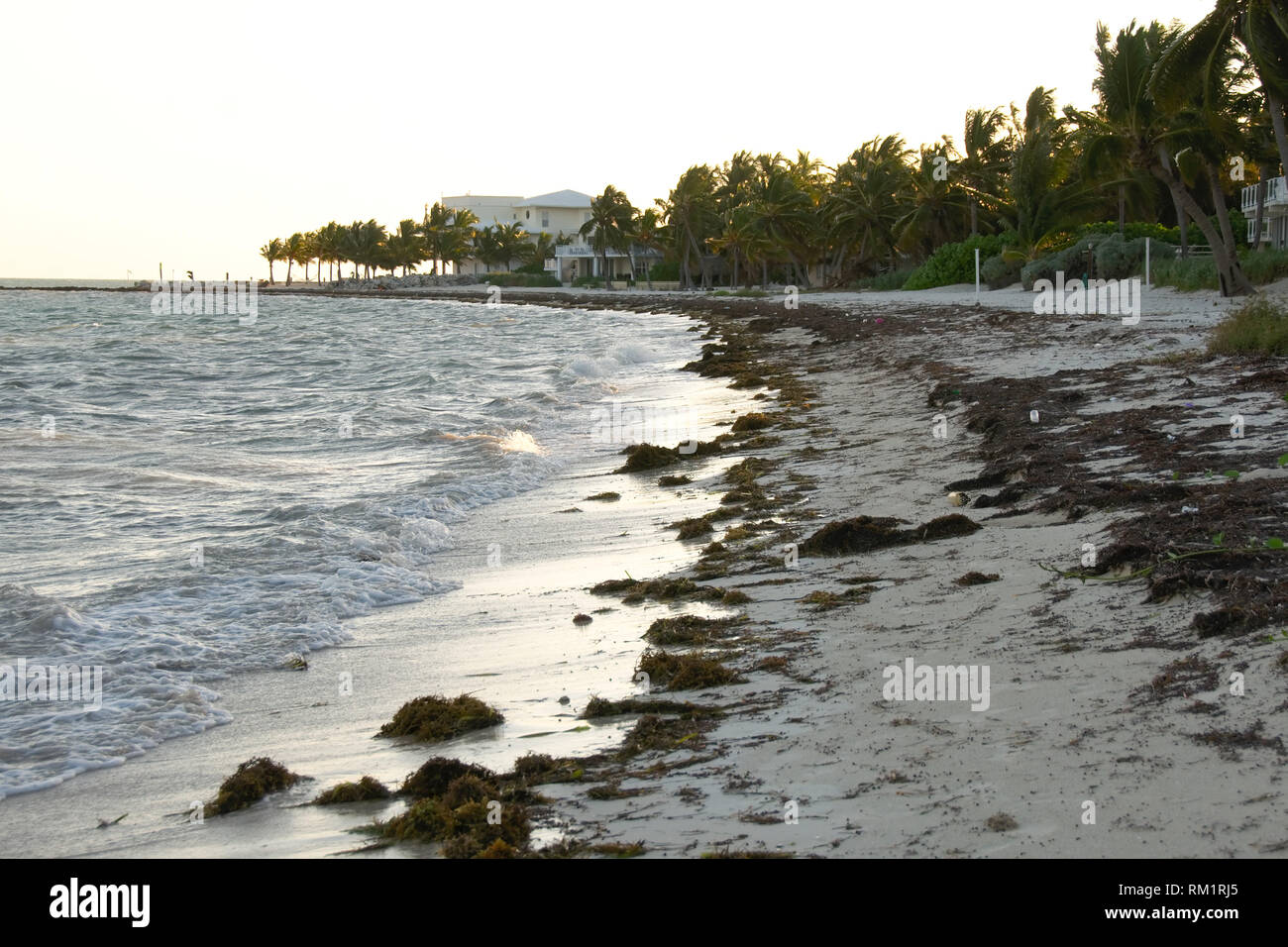 Islamorada beach hi-res stock photography and images - Alamy