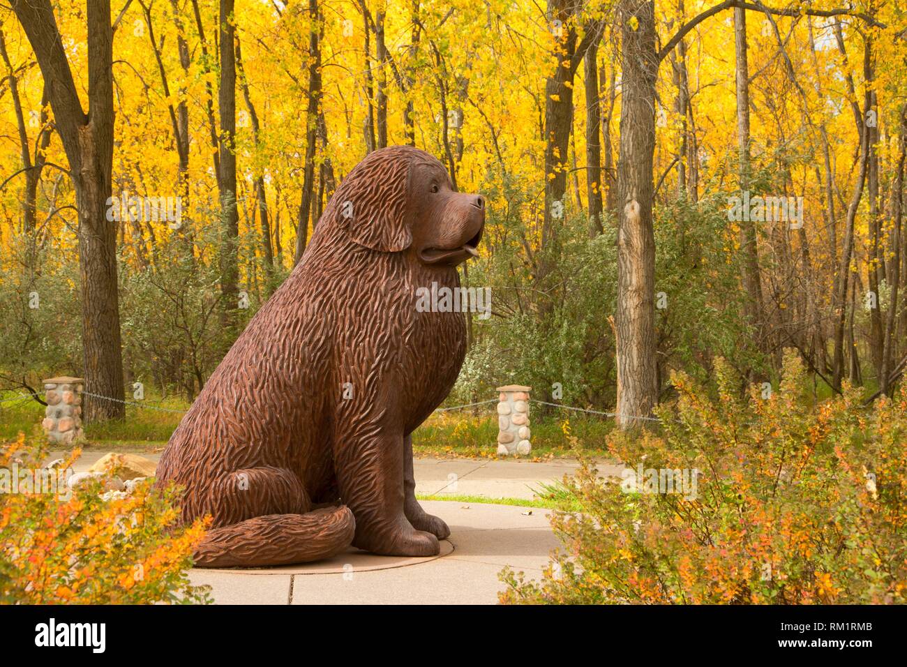 Seaman newfoundland dog hi-res stock photography and images - Alamy