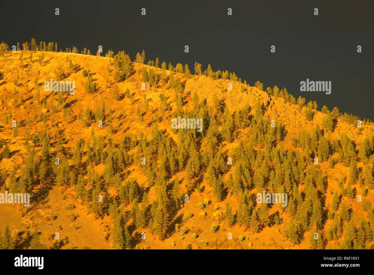 Bonner montana hi-res stock photography and images - Alamy