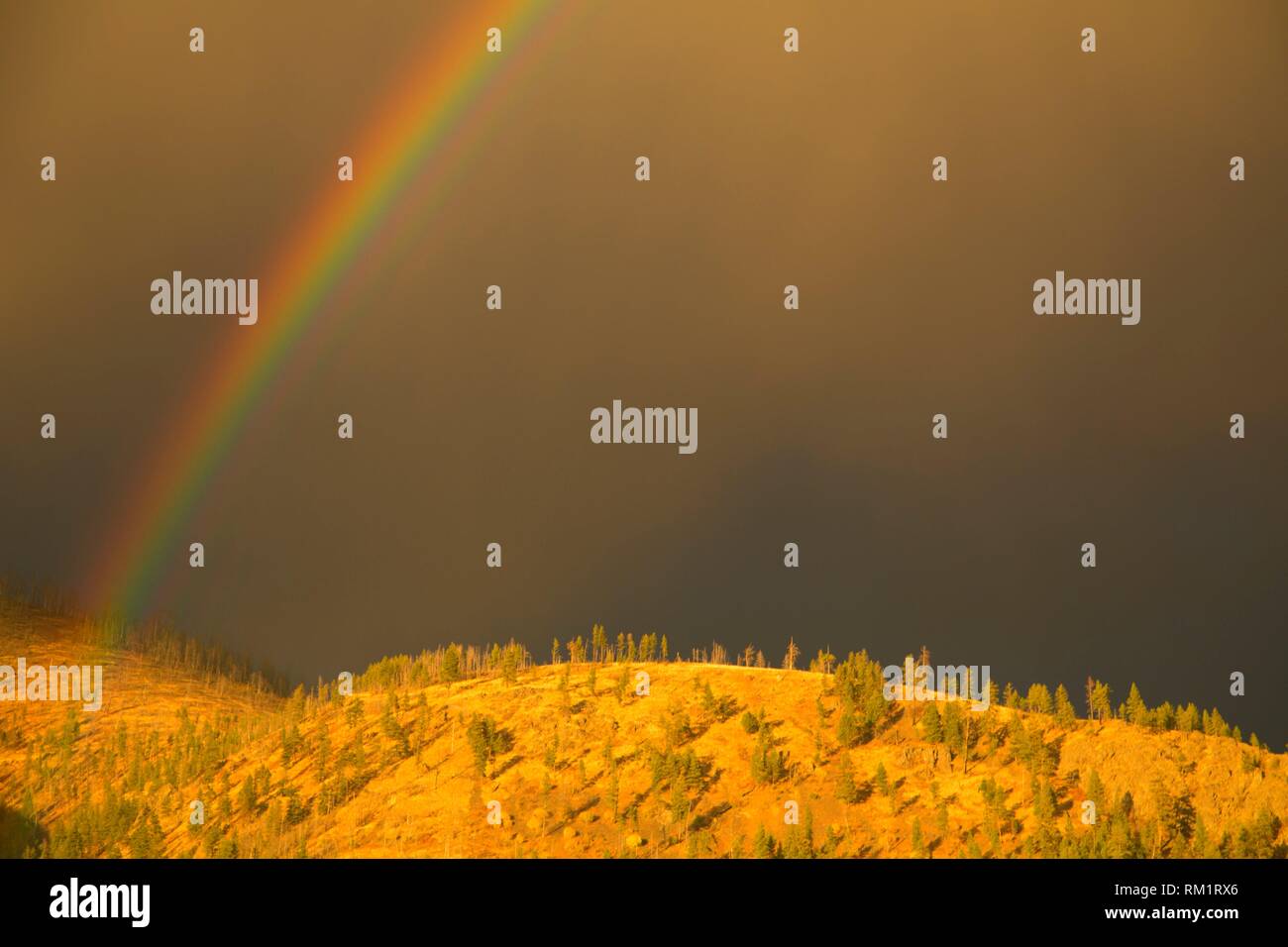 Bonner montana hi-res stock photography and images - Alamy