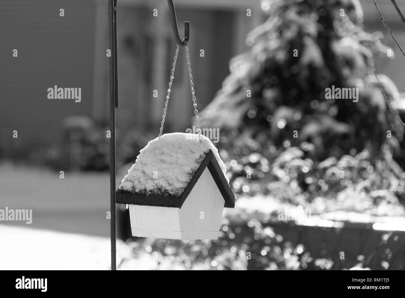 Christmas bird house Black and White Stock Photos & Images - Alamy