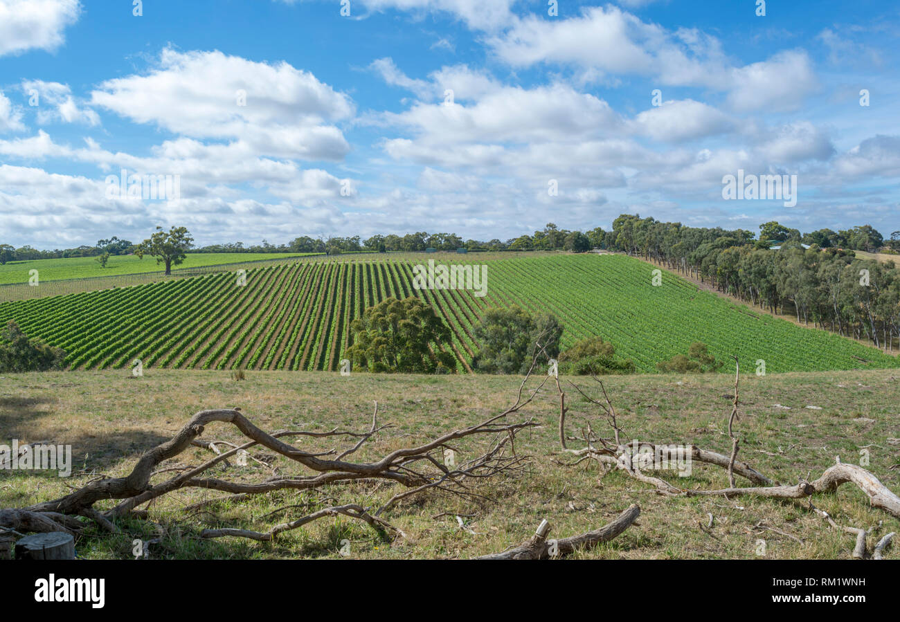 Echunga hi-res stock photography and images - Alamy