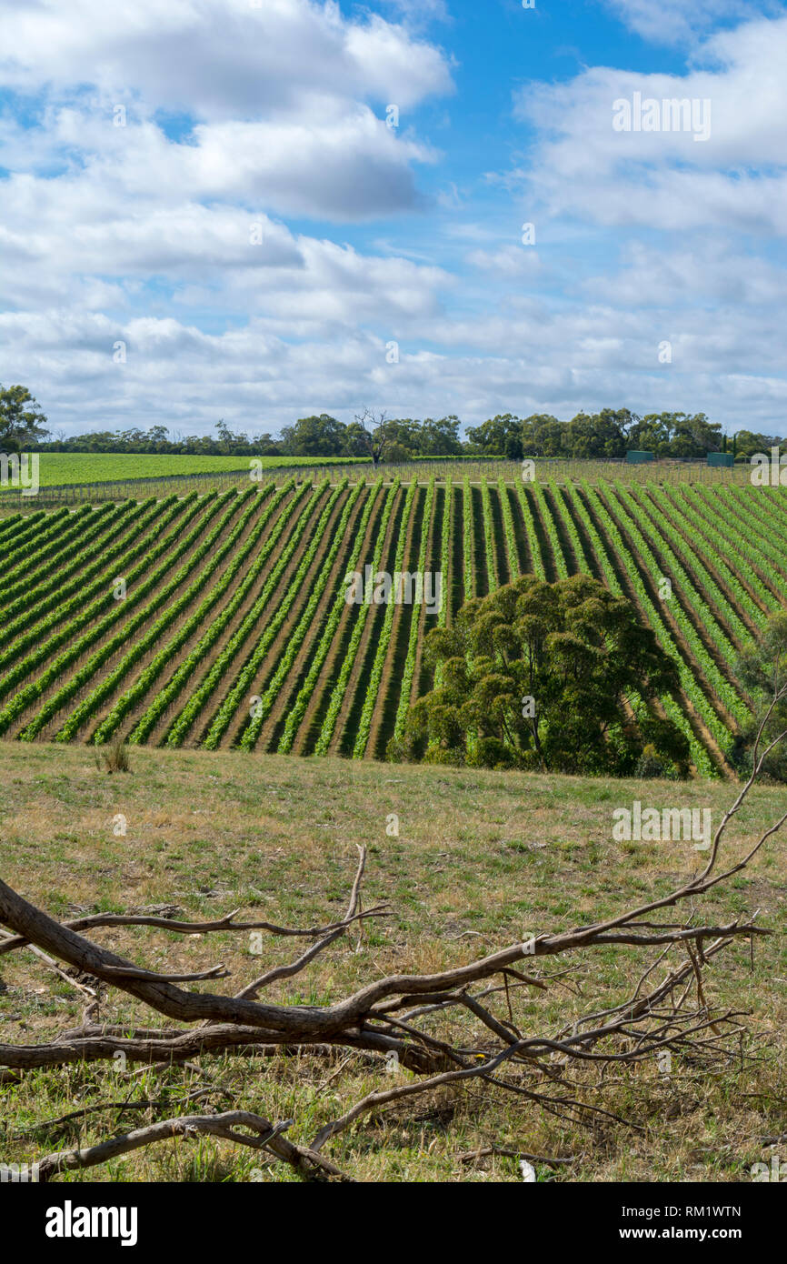 Echunga hi-res stock photography and images - Alamy