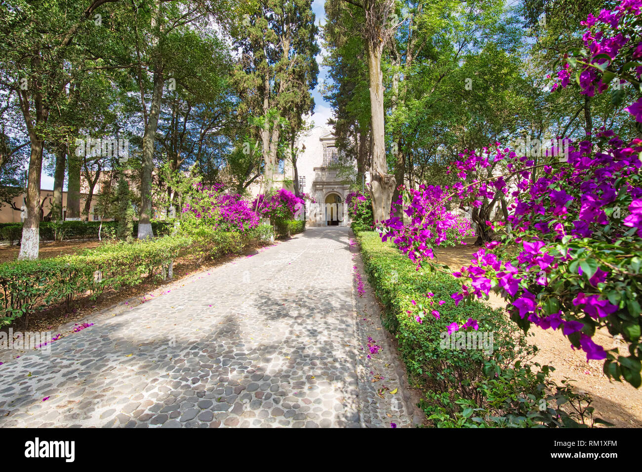 Atrio restaurant hi-res stock photography and images - Alamy