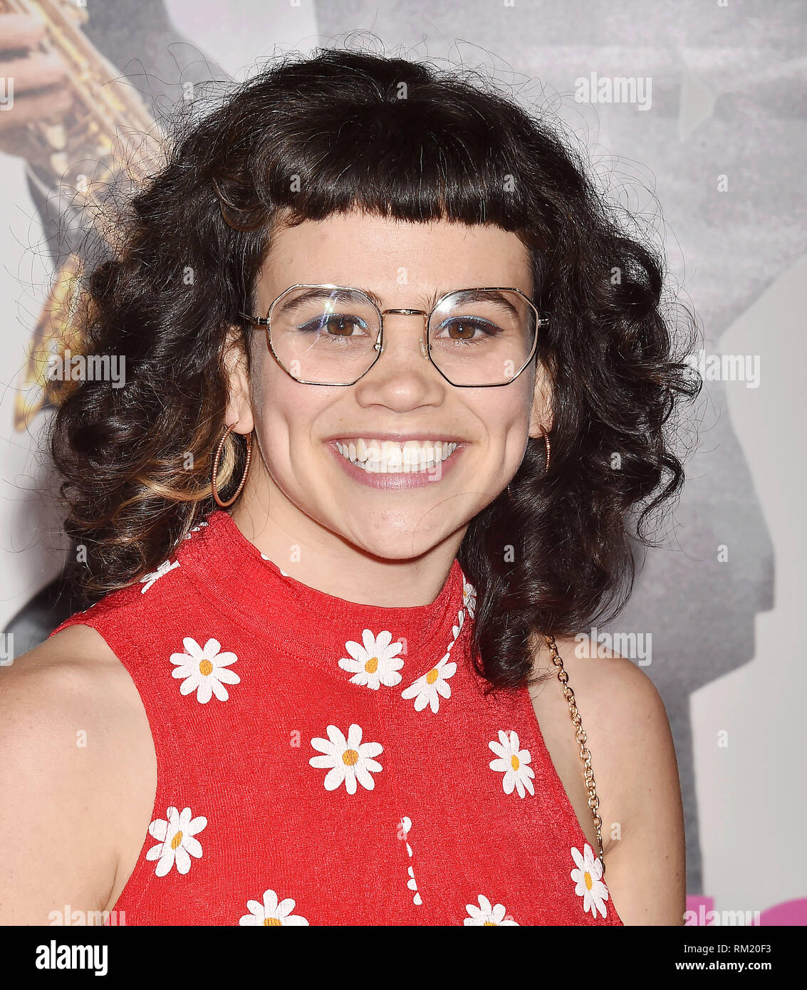 LOS ANGELES, CA - FEBRUARY 11: Sandy Honig arrives at the Premiere Of ...