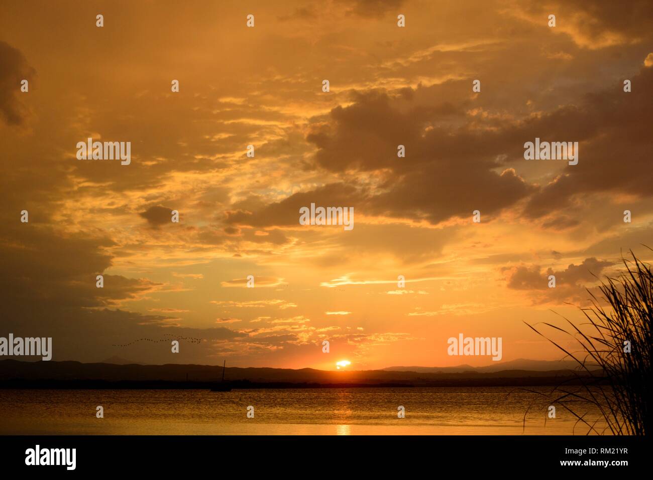 Lake of the albufera hi-res stock photography and images - Alamy