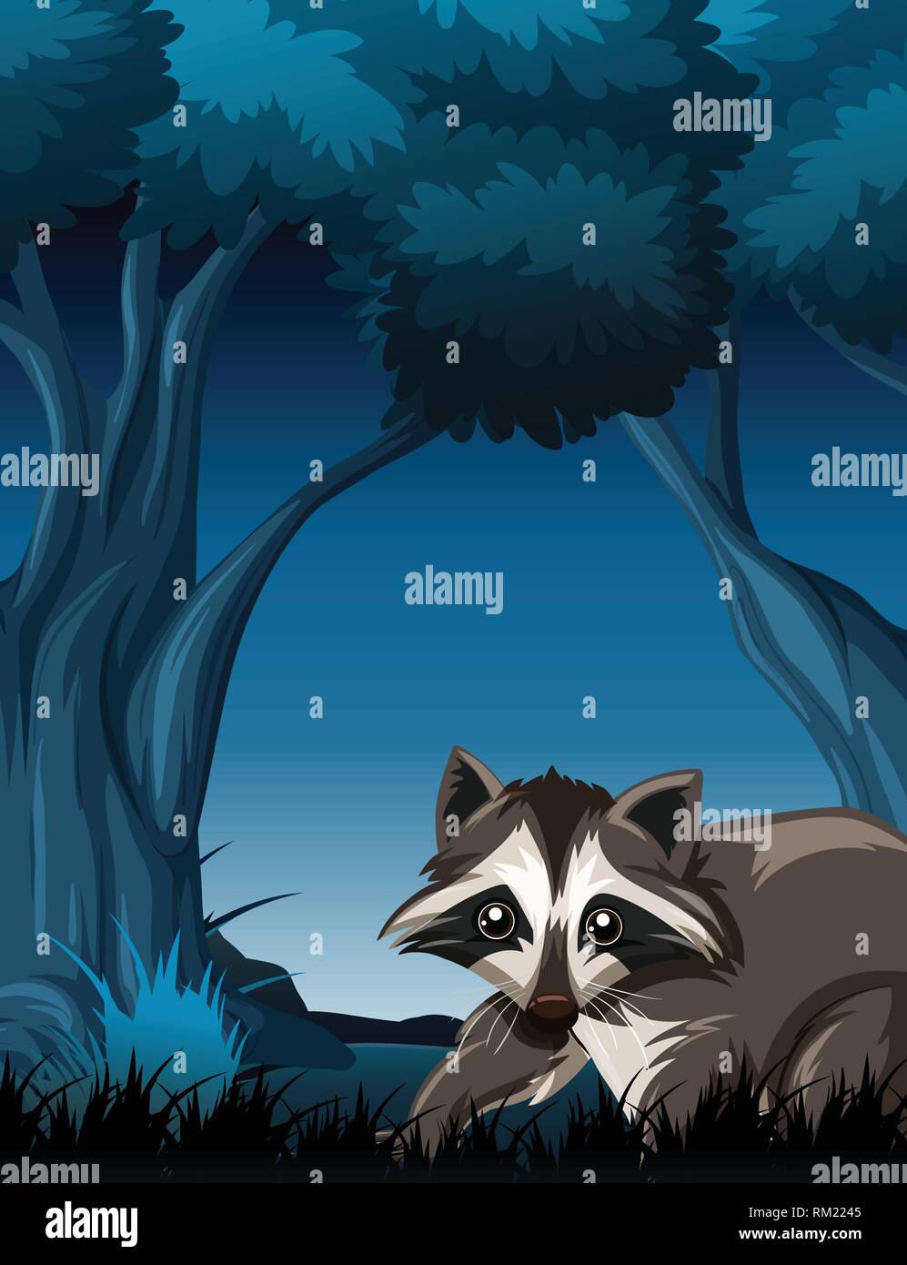 Raccoon in wild forest illustration Stock Vector Image & Art - Alamy