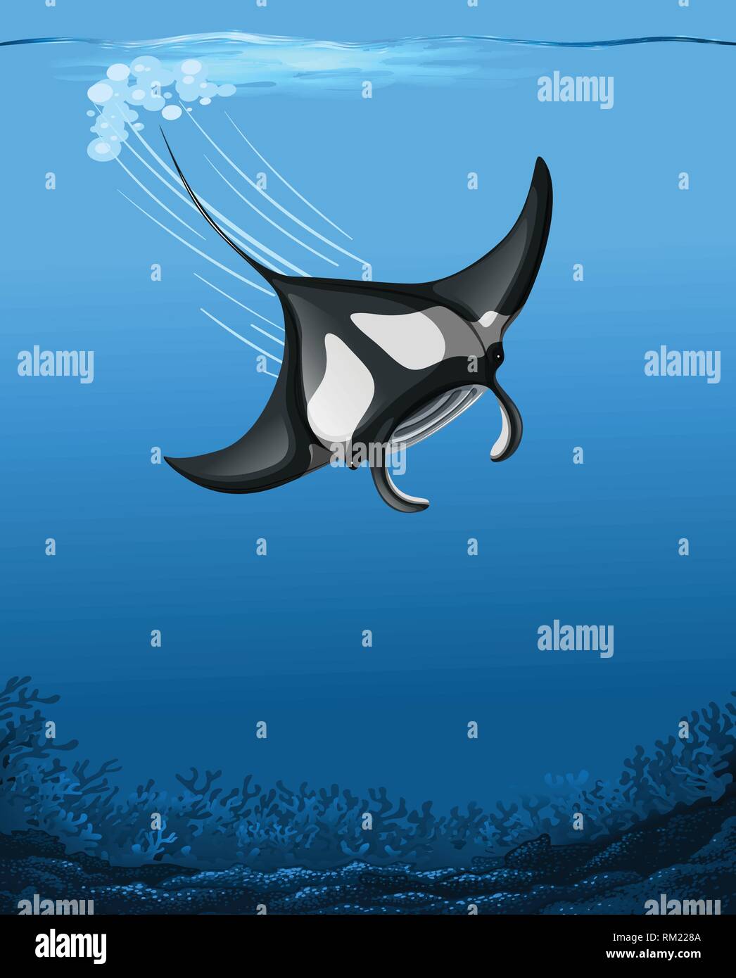 Manta ray Stock Vector Images - Alamy