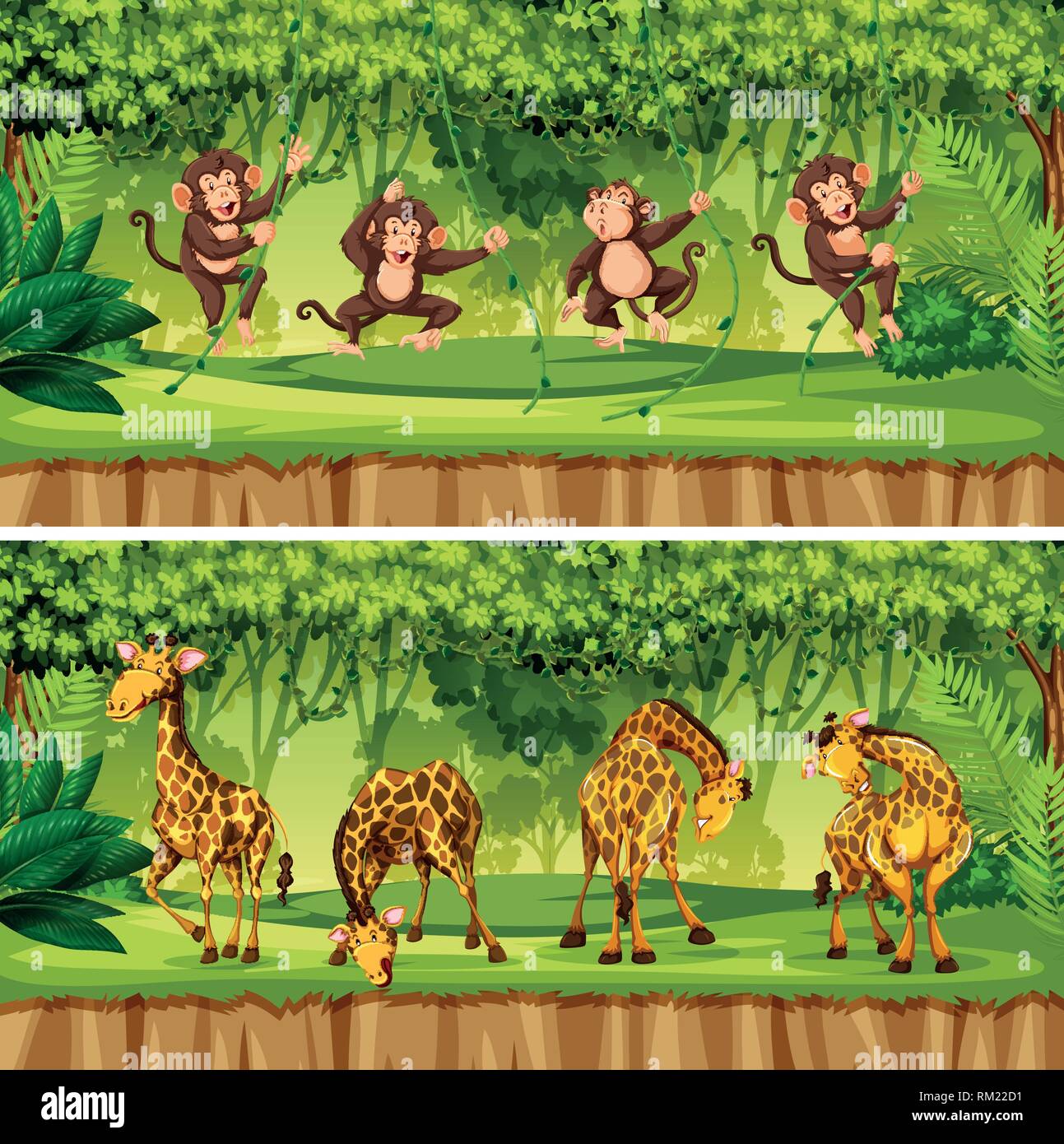 Set of wild animals landscape illustration Stock Vector Image & Art - Alamy