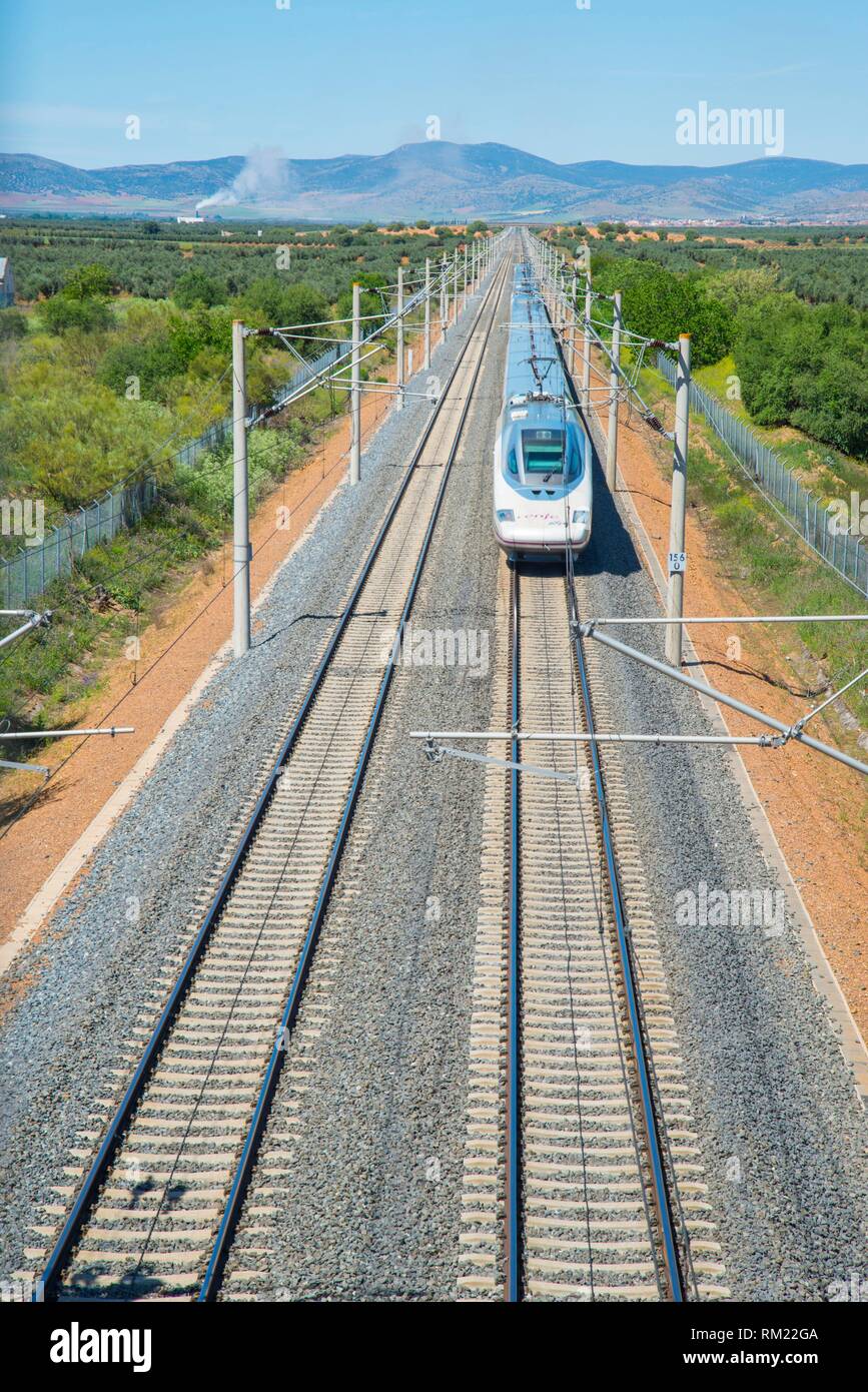 Ave spain hi-res stock photography and images - Alamy