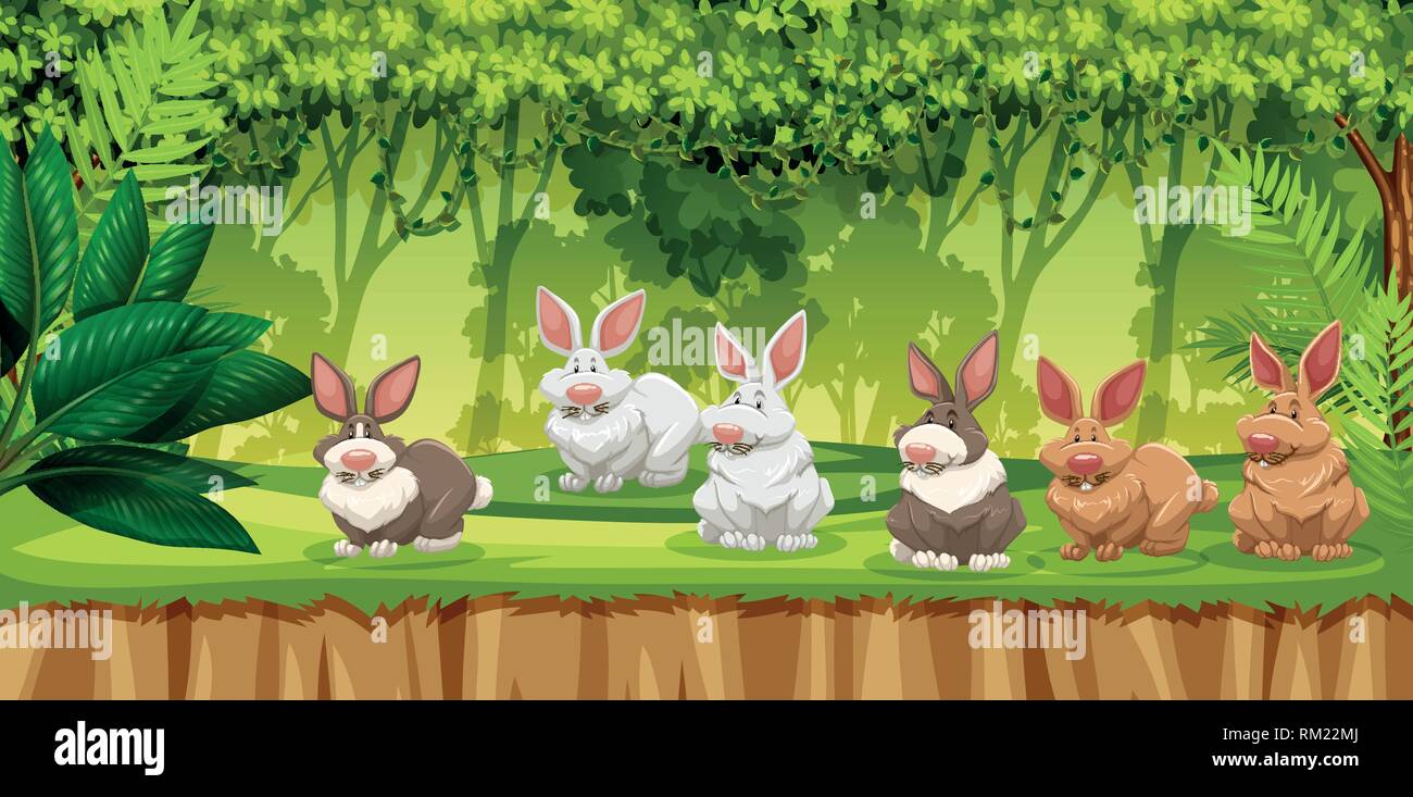 Rabbit in jungle scene illustration Stock Vector Image & Art - Alamy