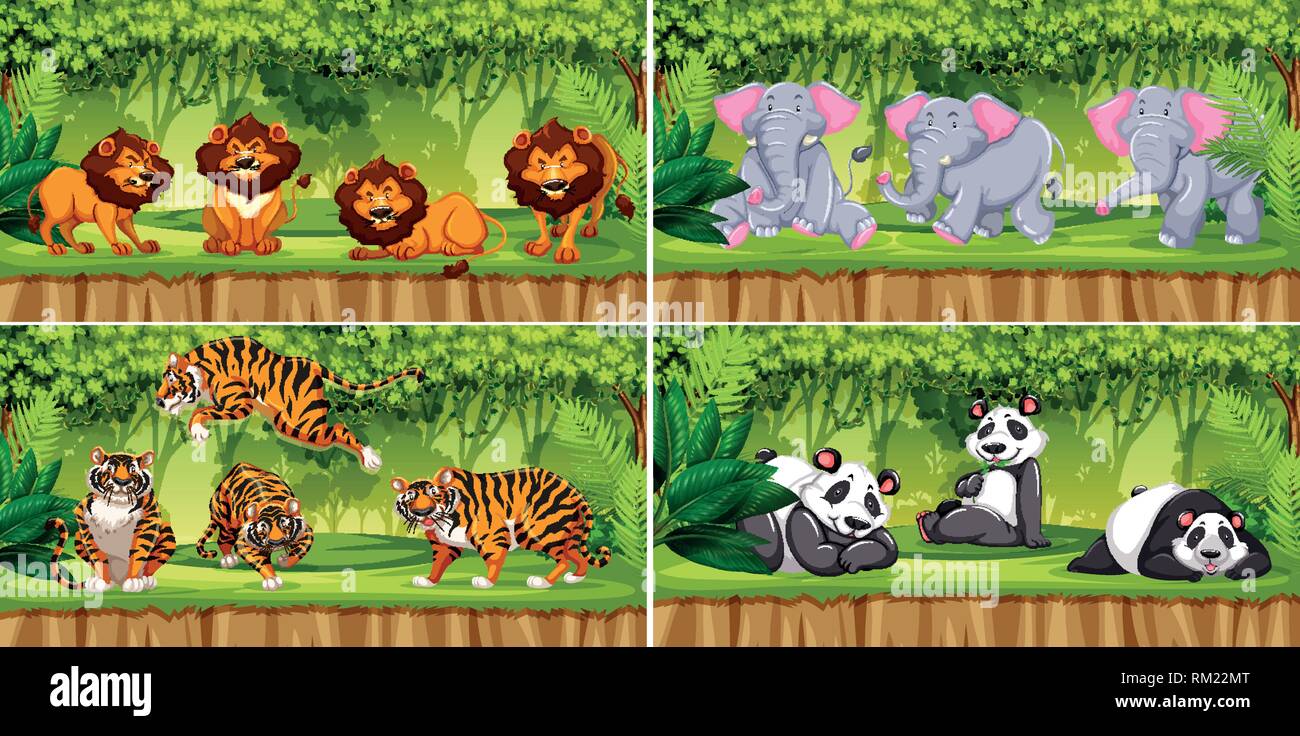 Set of animal scenes illustration Stock Vector Image & Art - Alamy
