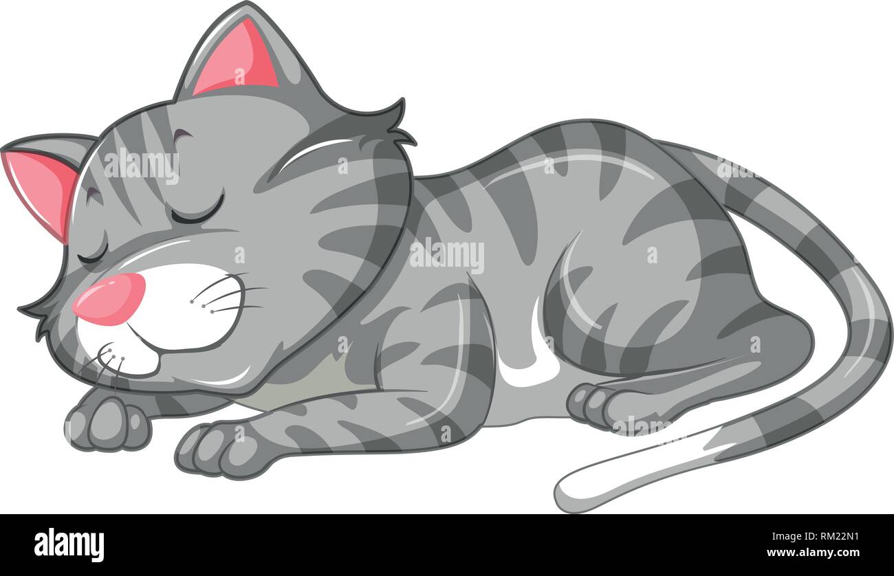 Cute sleeping cat grey Stock Vector Images - Alamy