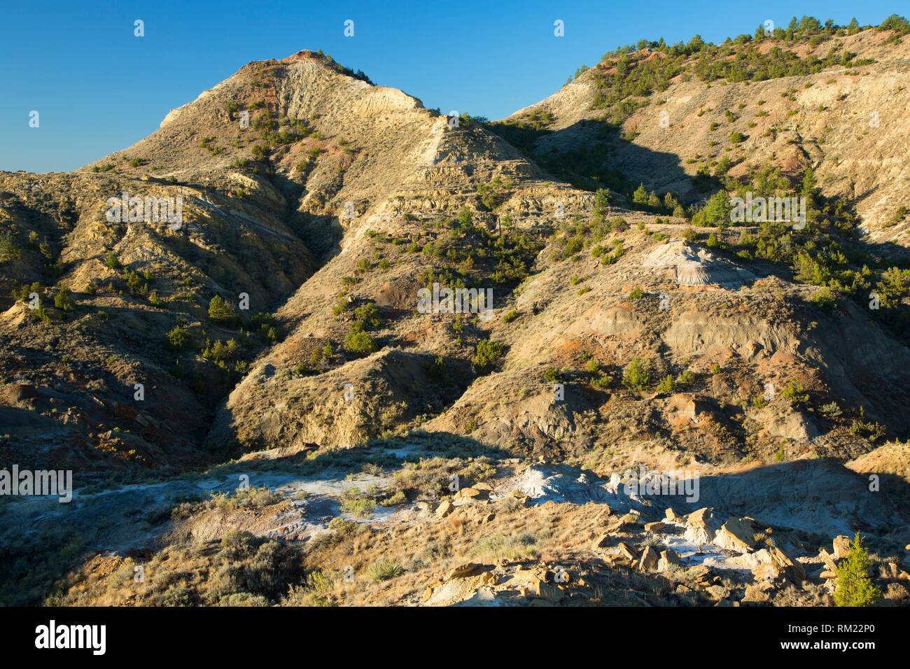 Terry County High Resolution Stock Photography and Images - Alamy