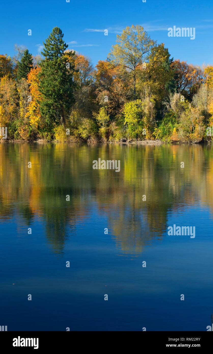 Willamette Mission State Park High Resolution Stock Photography and ...