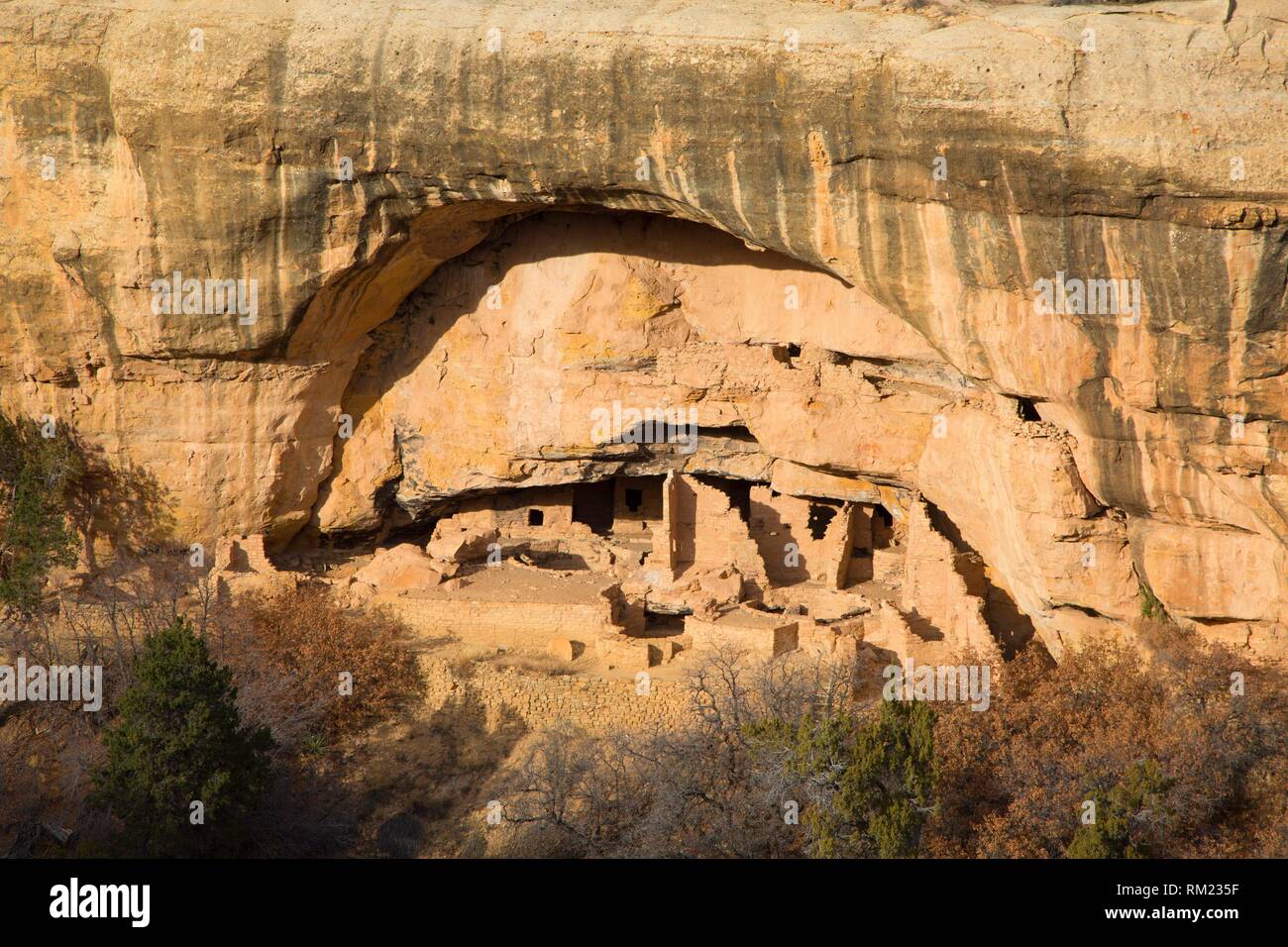 Oak tree house hi-res stock photography and images - Alamy