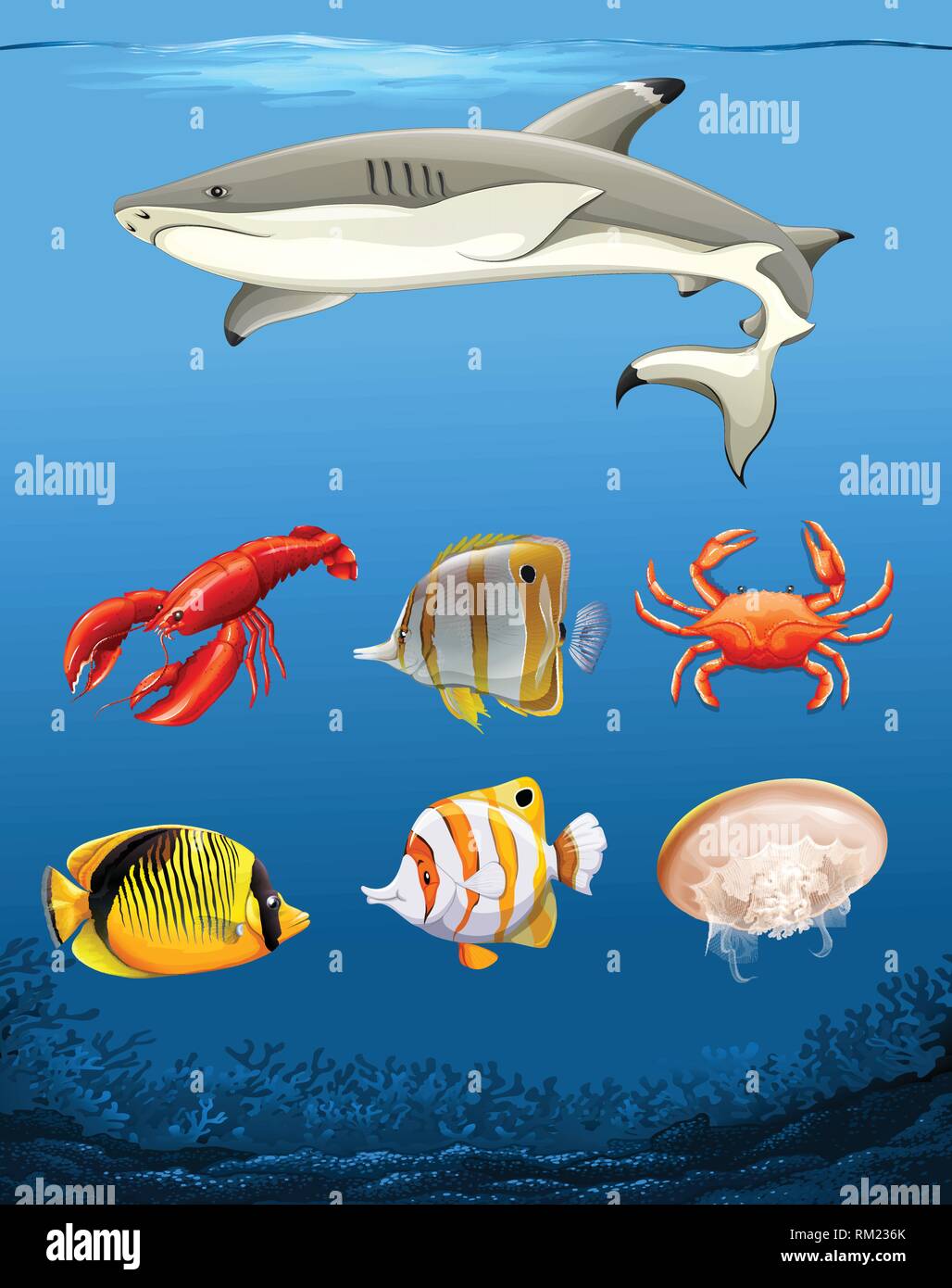 Many fish underwater theme illustration Stock Vector Image & Art - Alamy