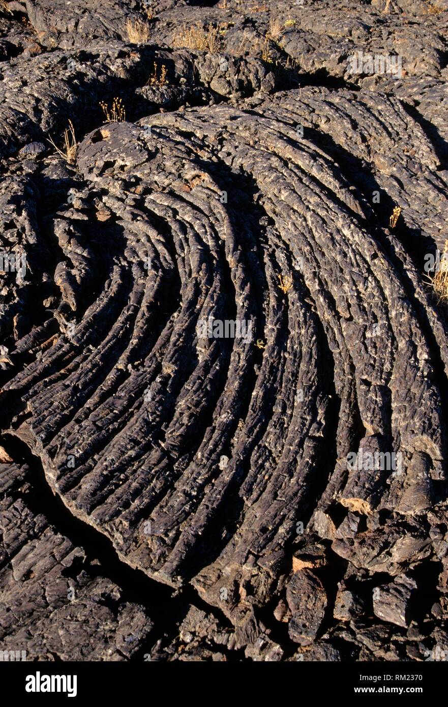 Molds moon hi-res stock photography and images - Alamy