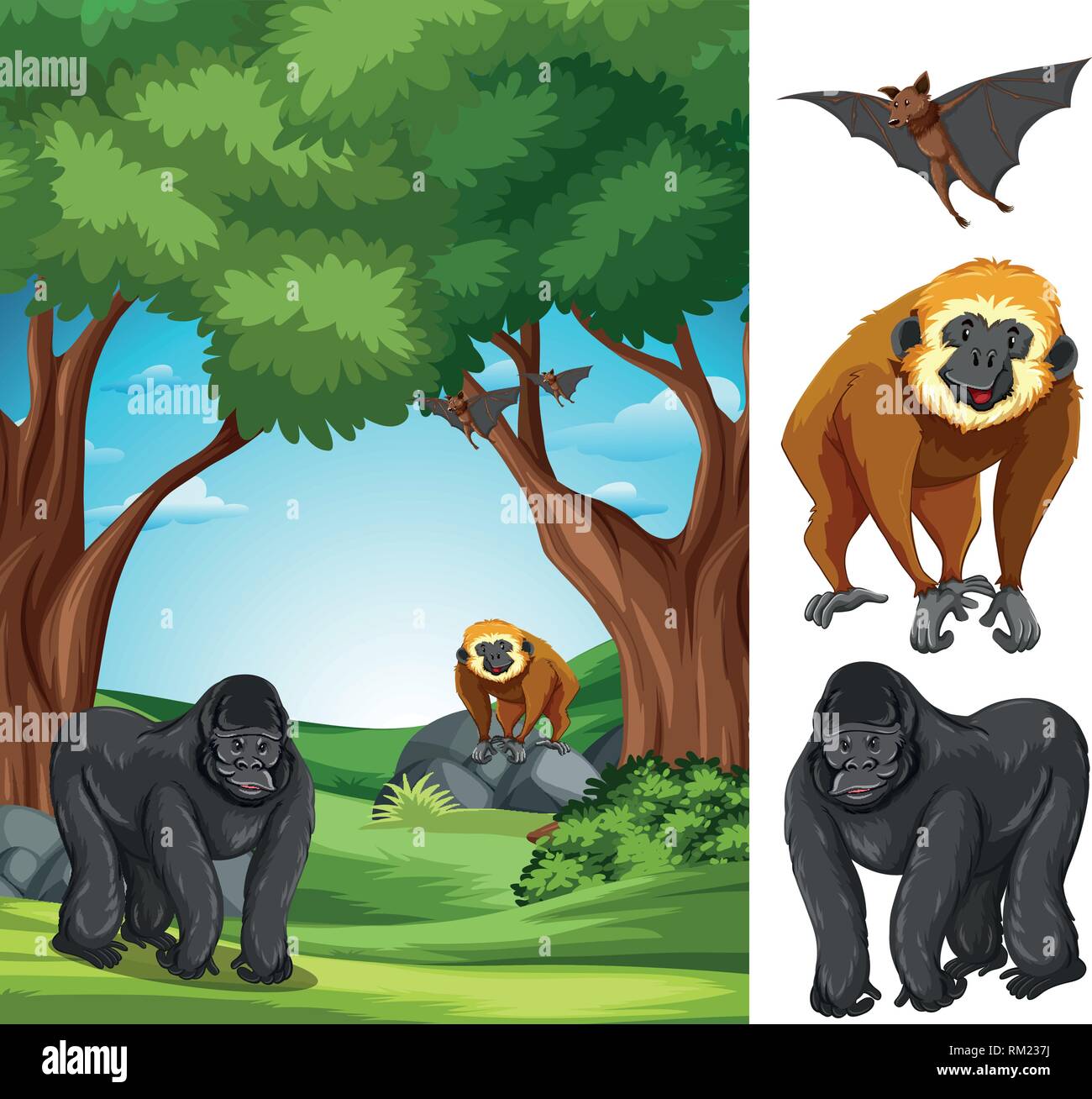 Ape in the nature landscape illustration Stock Vector Image & Art - Alamy