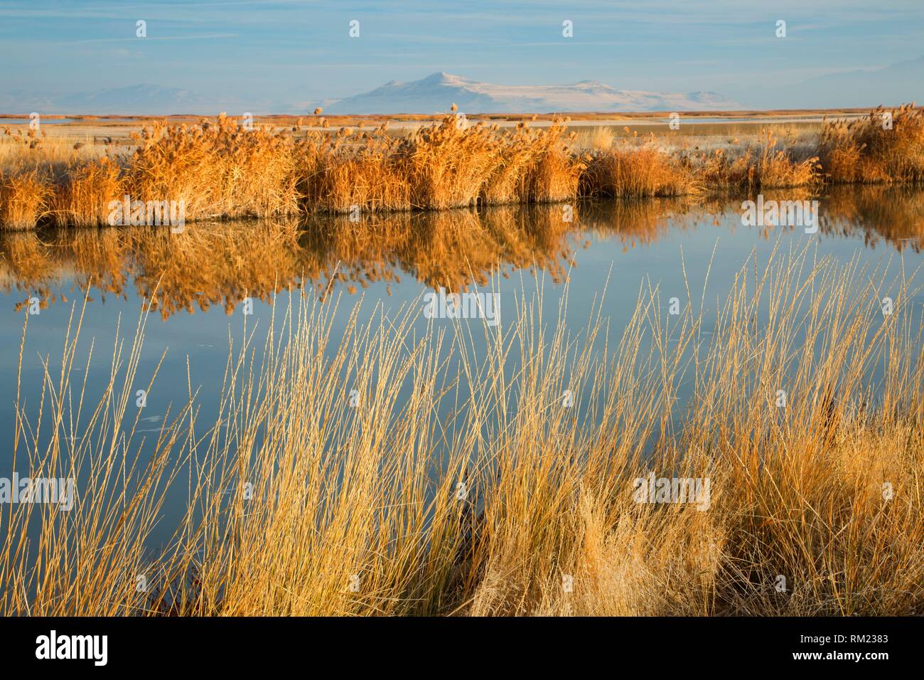 Great Salt Pond High Resolution Stock Photography and Images - Alamy